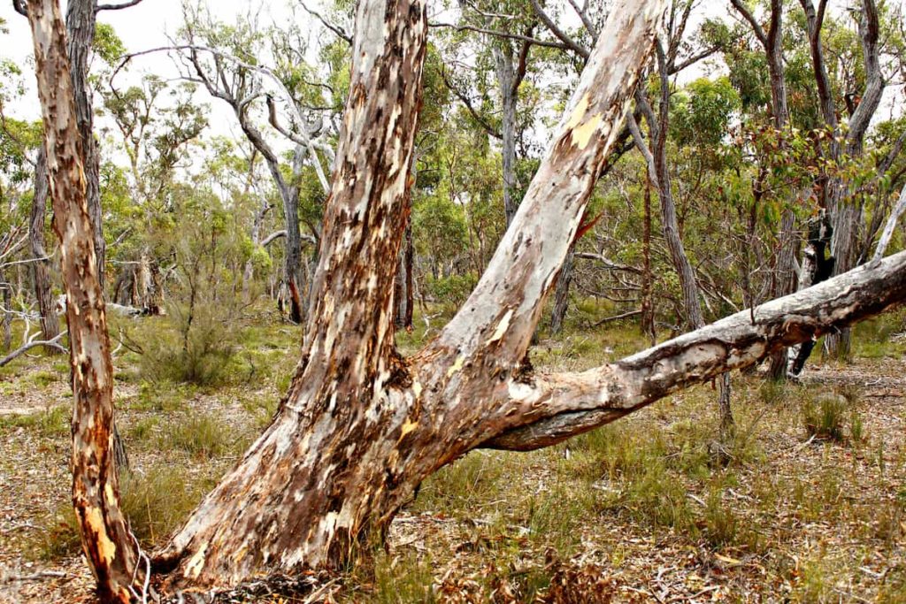 Balijup Farm and Fauna Sanctuary | Heartland Journeys