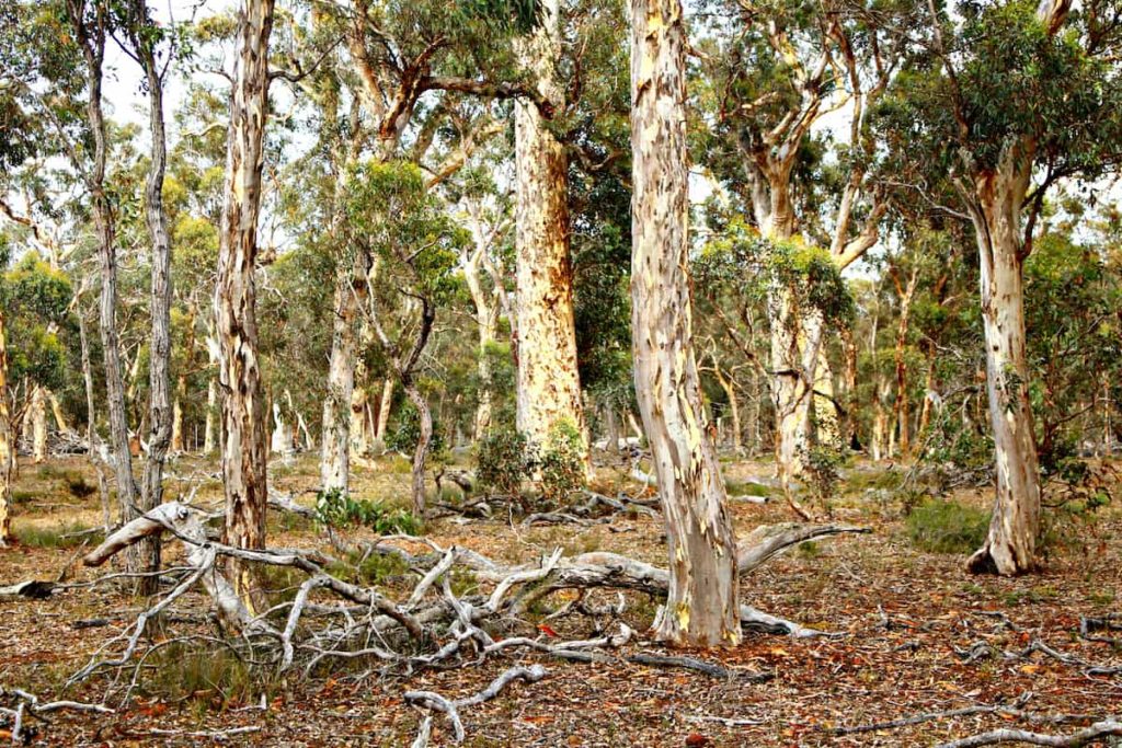 Balijup Farm and Fauna Sanctuary | Heartland Journeys