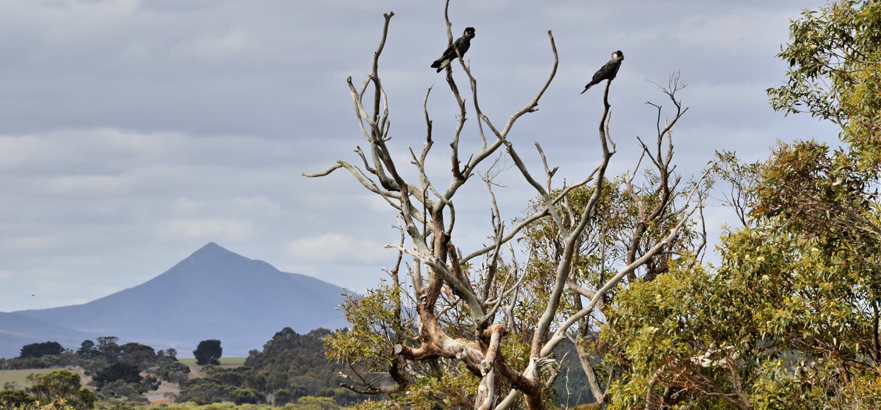 Chester Pass Rd viewpoint | Heartland Journeys