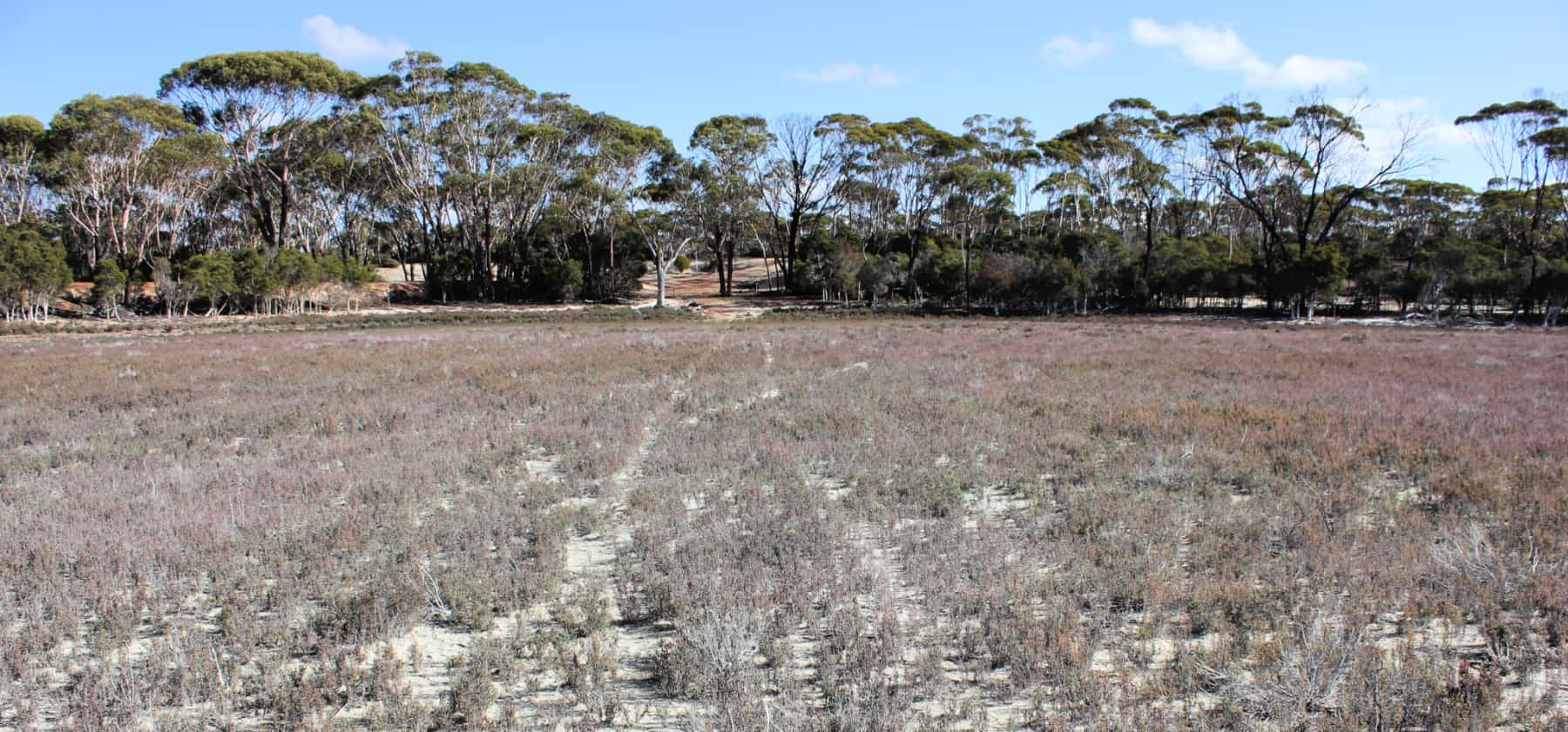 Lake Bryde | Heartland Journeys