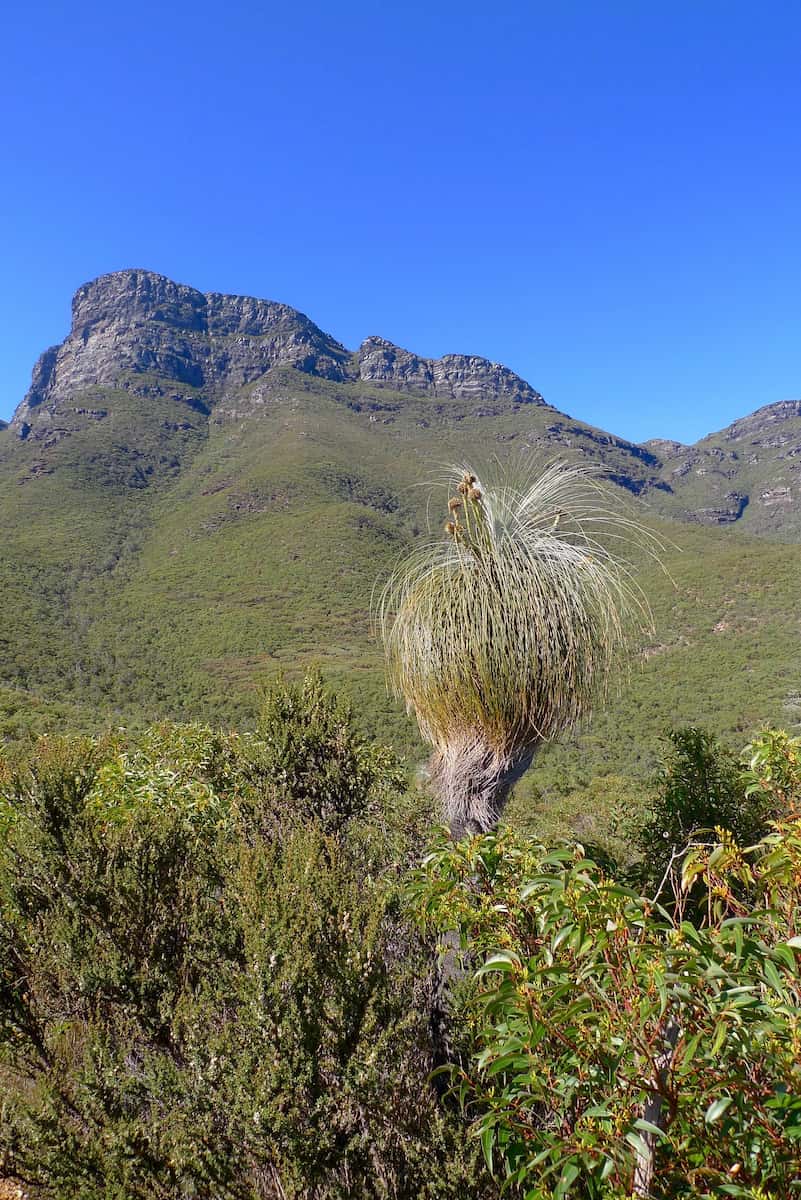 Entangled nature: The Stirling Range National Park | Heartland Journeys