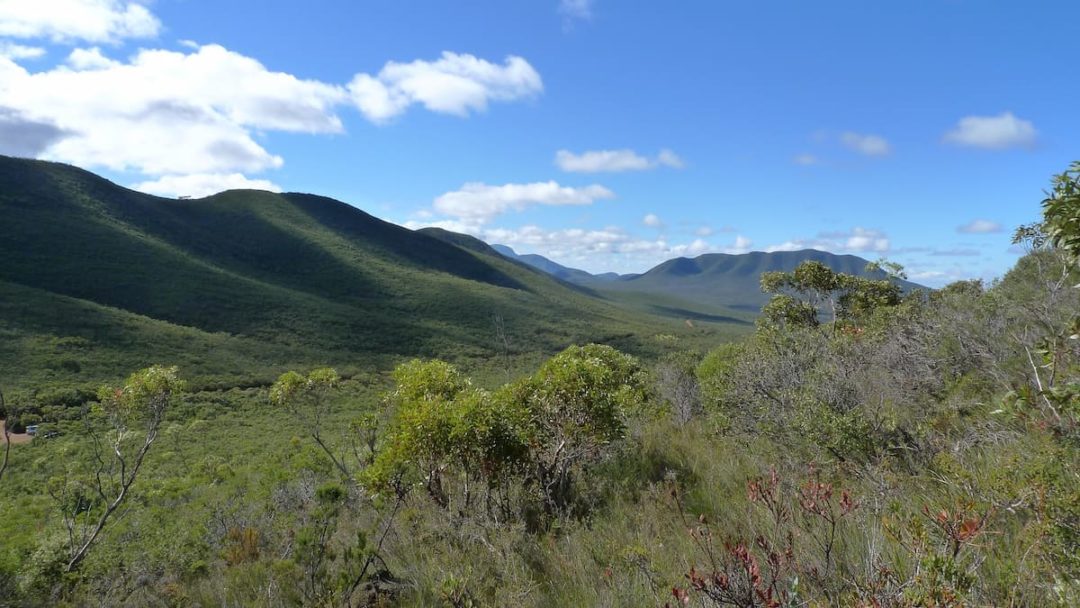 Entangled nature: The Stirling Range National Park | Heartland Journeys