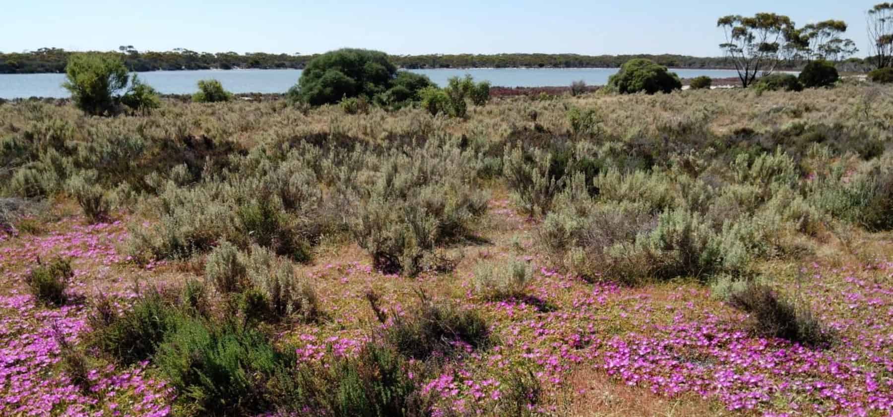 Chinocup Lake System | Heartland Journeys