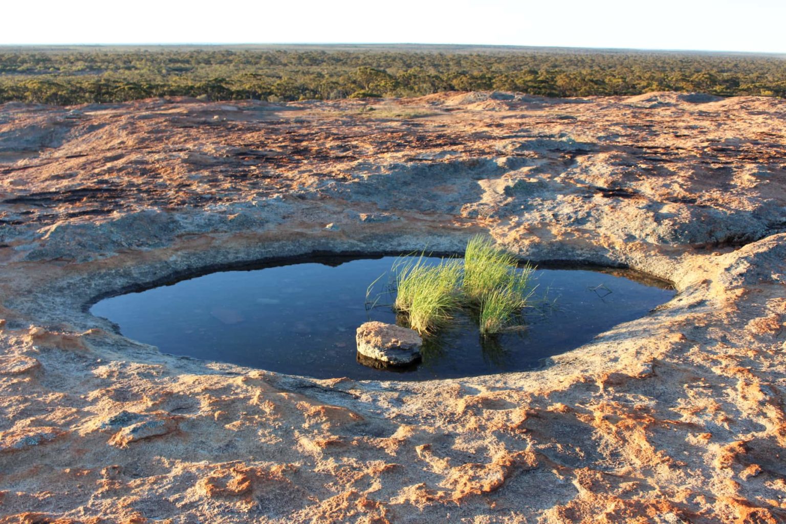 Life on granite outcrops in south-western Australia | Heartland Journeys