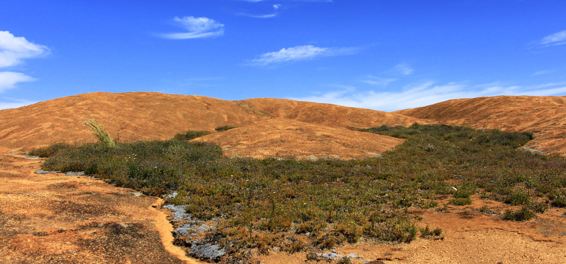 Life on granite outcrops in south-western Australia | Heartland Journeys