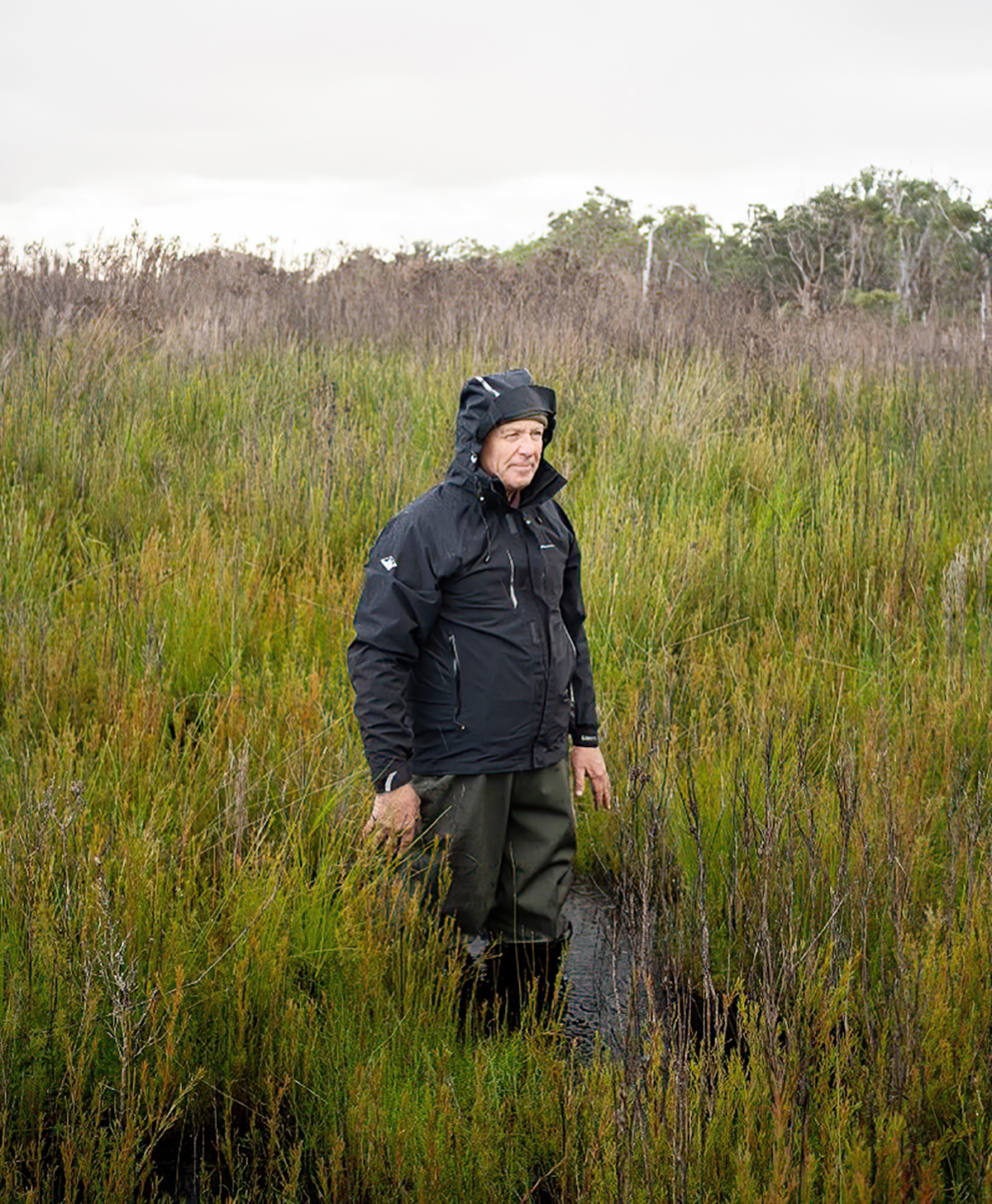 Sunset frogs in the cool and wet | Heartland Journeys