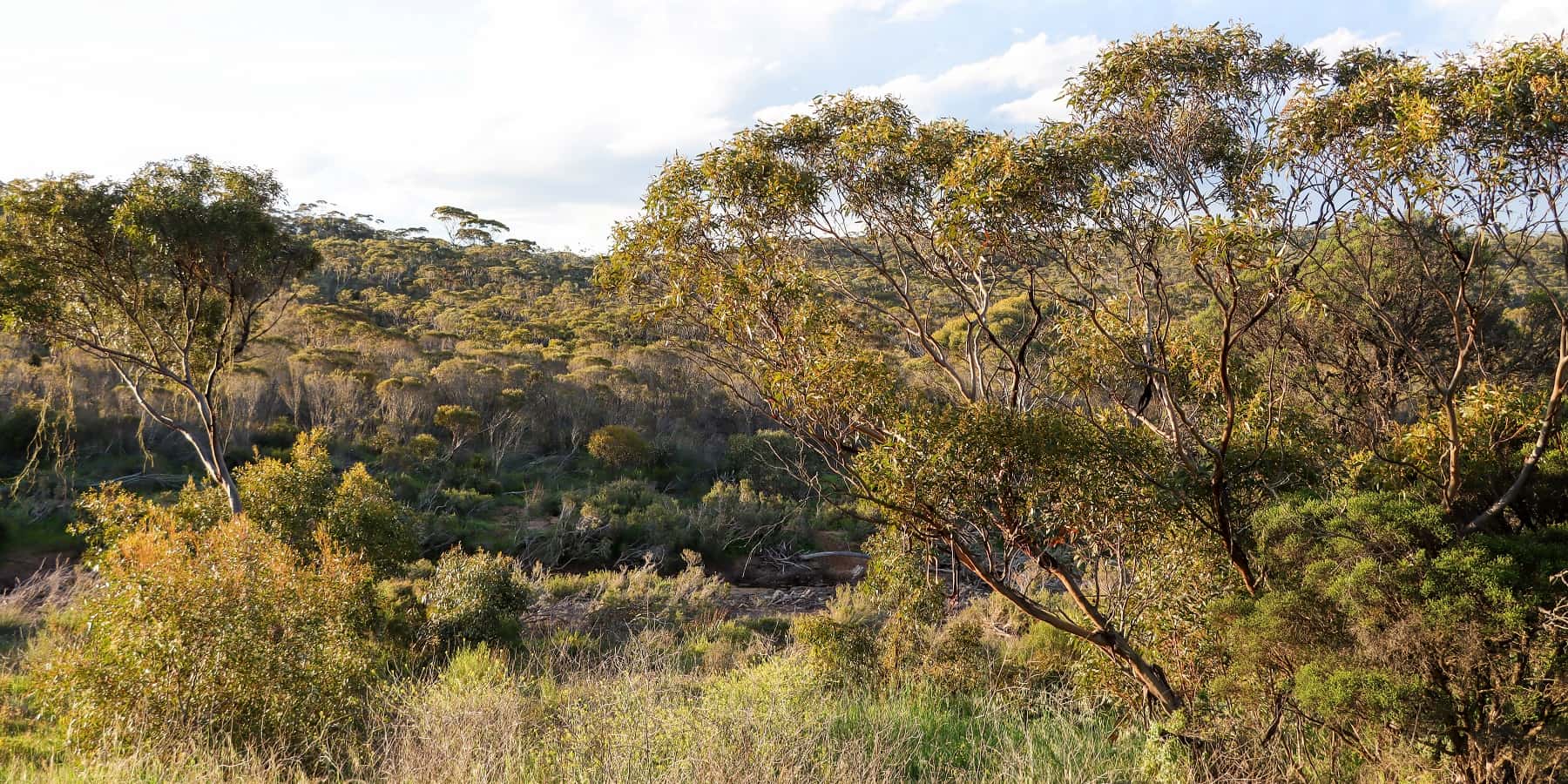 Overshot Hill Nature Reserve | Heartland Journeys