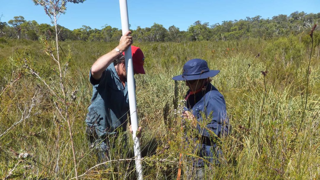 Peat, Fossils, Palaeohistory + Art | Heartland Journeys