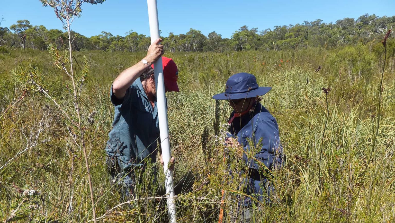 Peat, Fossils, Palaeohistory + Art | Heartland Journeys