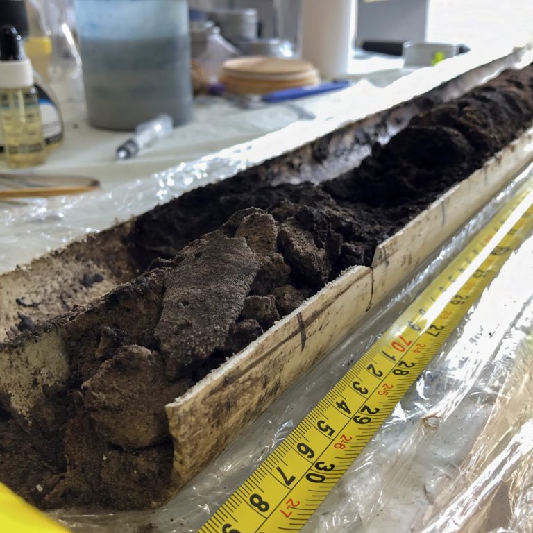 Peat, Fossils, Palaeohistory + Art | Heartland Journeys