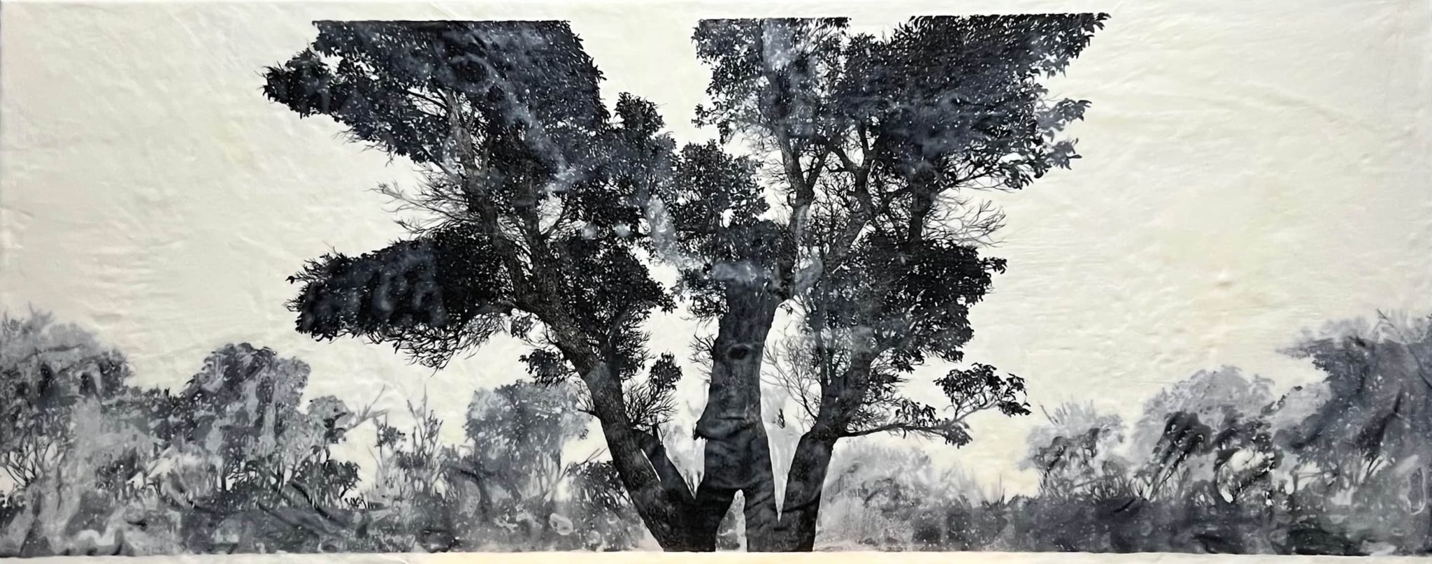 Peat, Fossils, Palaeohistory + Art | Heartland Journeys