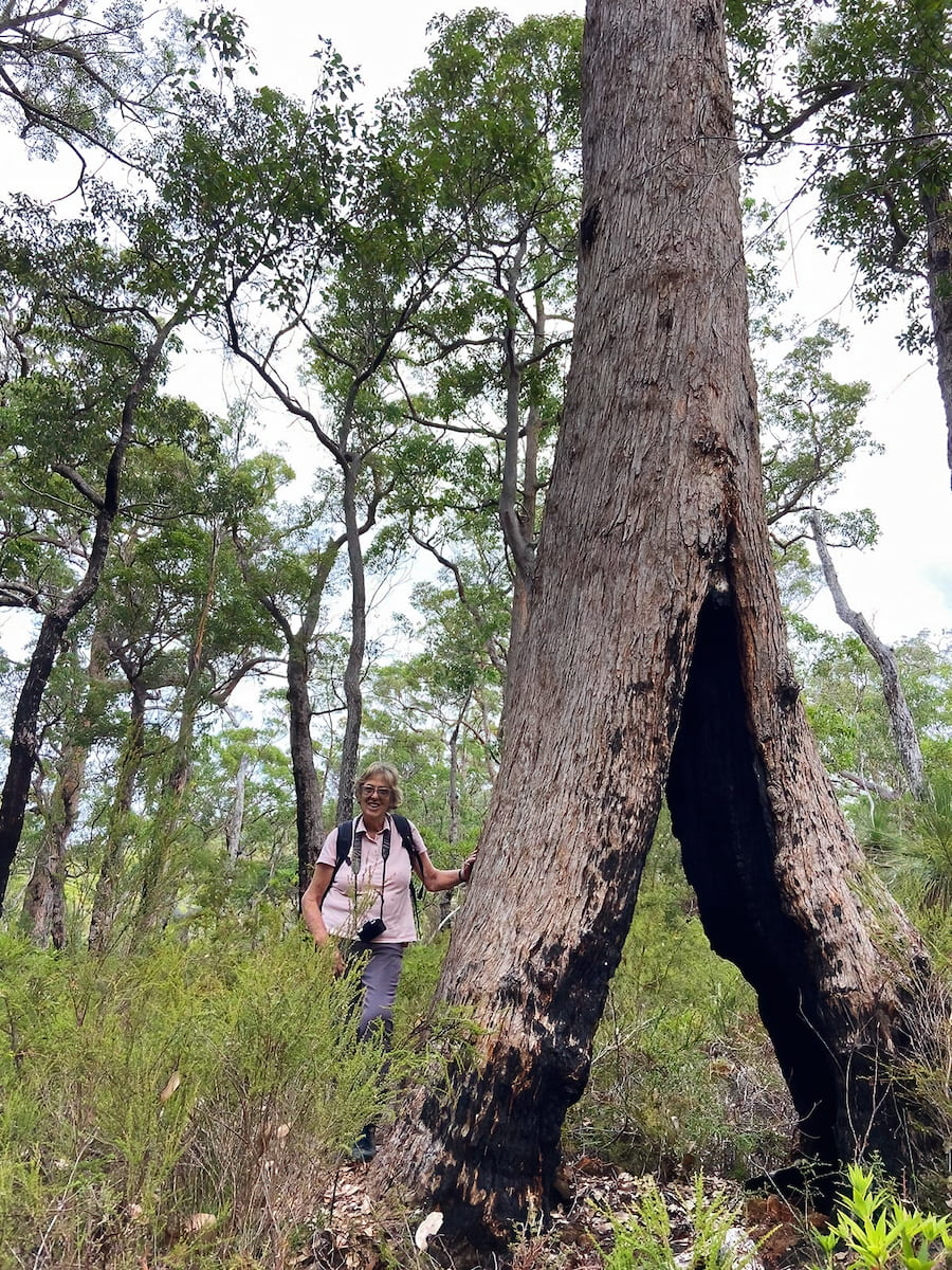 Speaking out: Dr Joanna Young challenges prescribed fire practices | Heartland Journeys