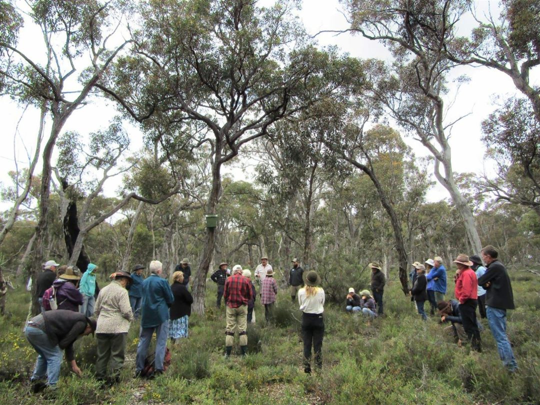 Balijup farm: family, people and nature working together | Heartland ...