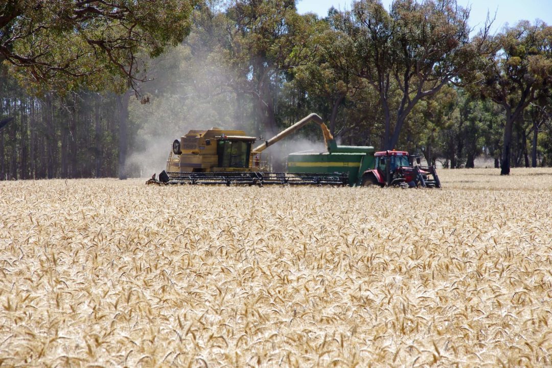 Balijup farm: family, people and nature working together | Heartland ...