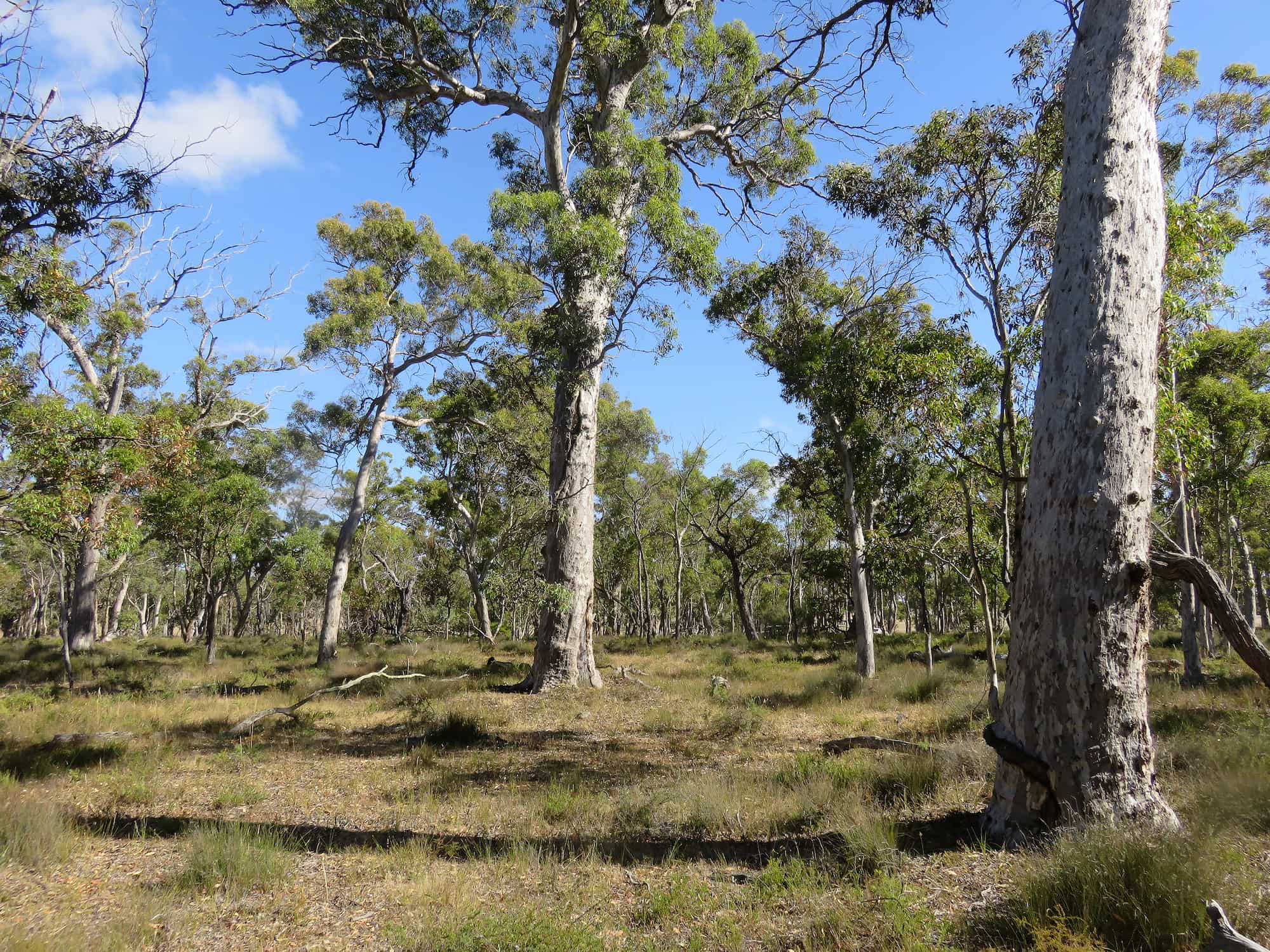 Balijup farm: family, people and nature working together | Heartland ...