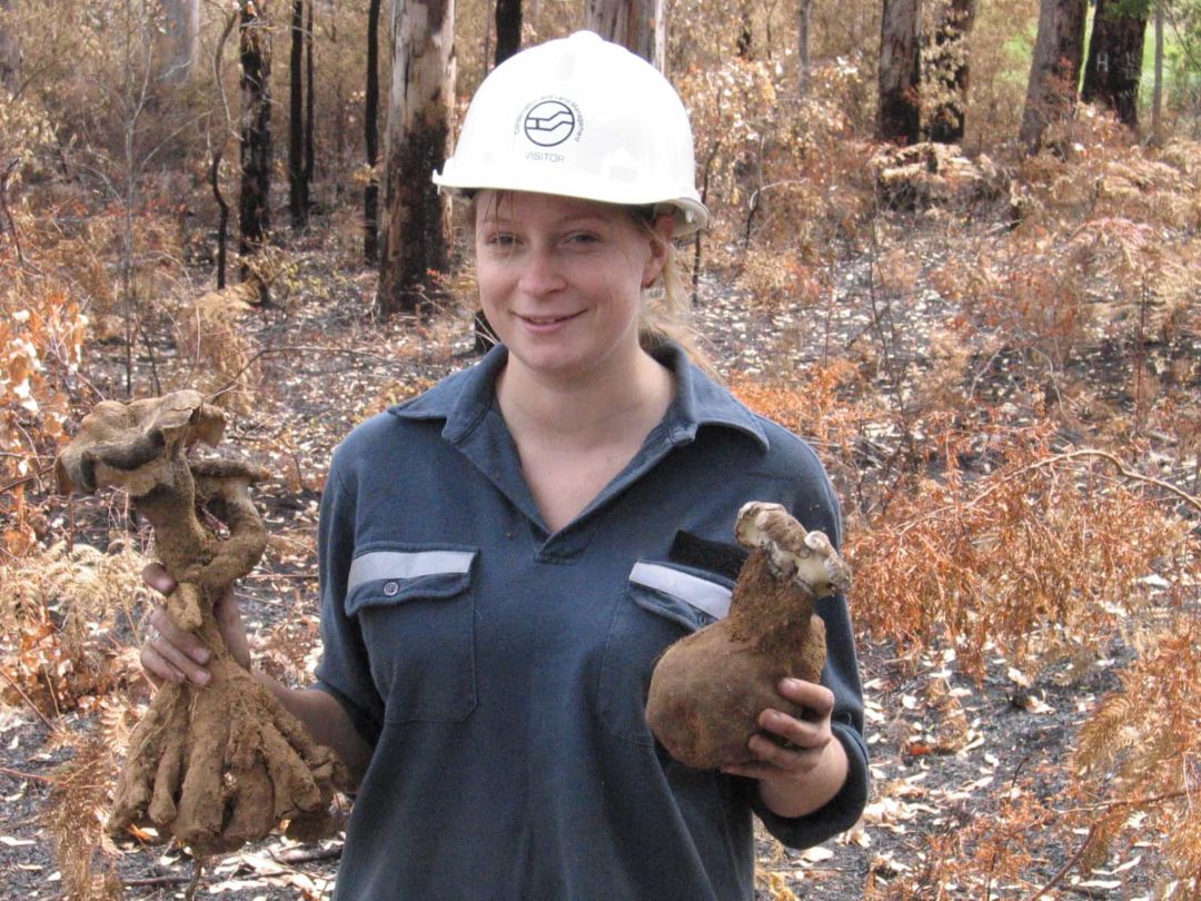 A sense of belonging on Frankland riverbank | Heartland Journeys
