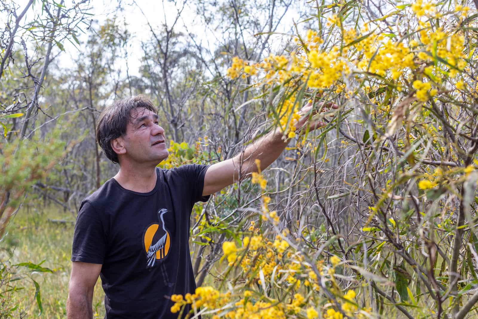 Ambitious new plan taking shape at Wilyun Pools Farm | Heartland Journeys