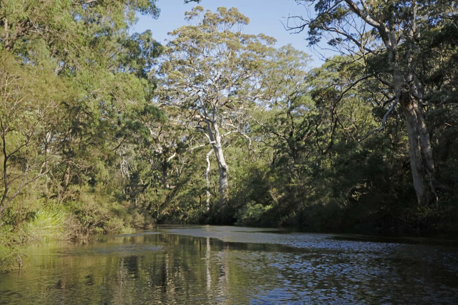 On the Deep River | Heartland Journeys