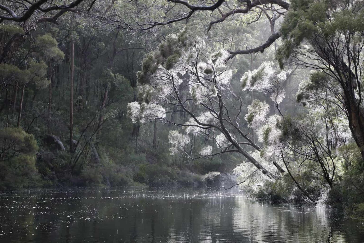 On the Deep River | Heartland Journeys