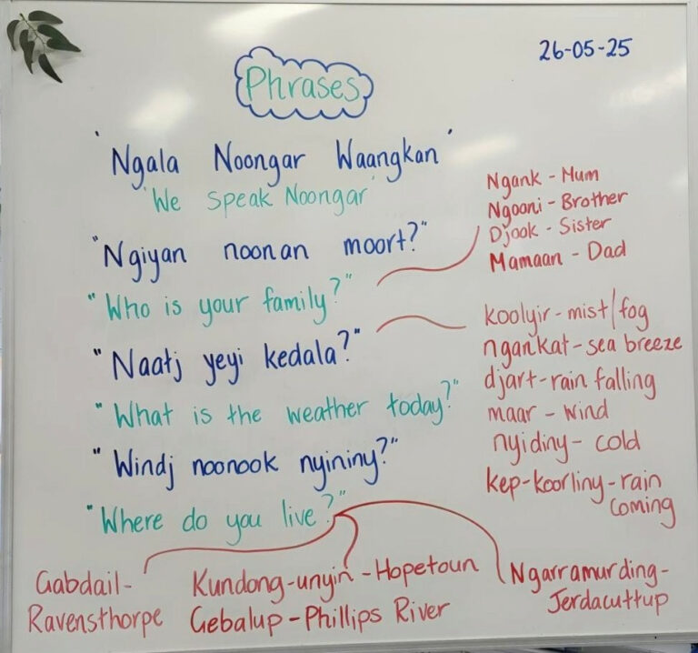 Learning Noongar through Connection to Country | Heartland Journeys